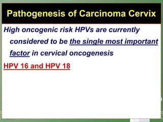 pathologyofcervixuterus-150825002725-lva1-app6892 (1).pptx