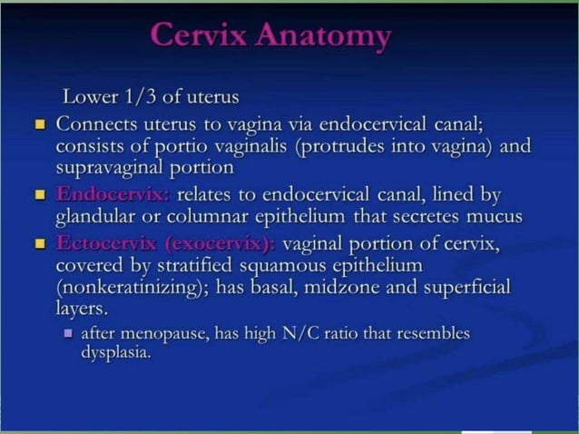 pathologyofcervixuterus-150825002725-lva1-app6892 (1).pptx