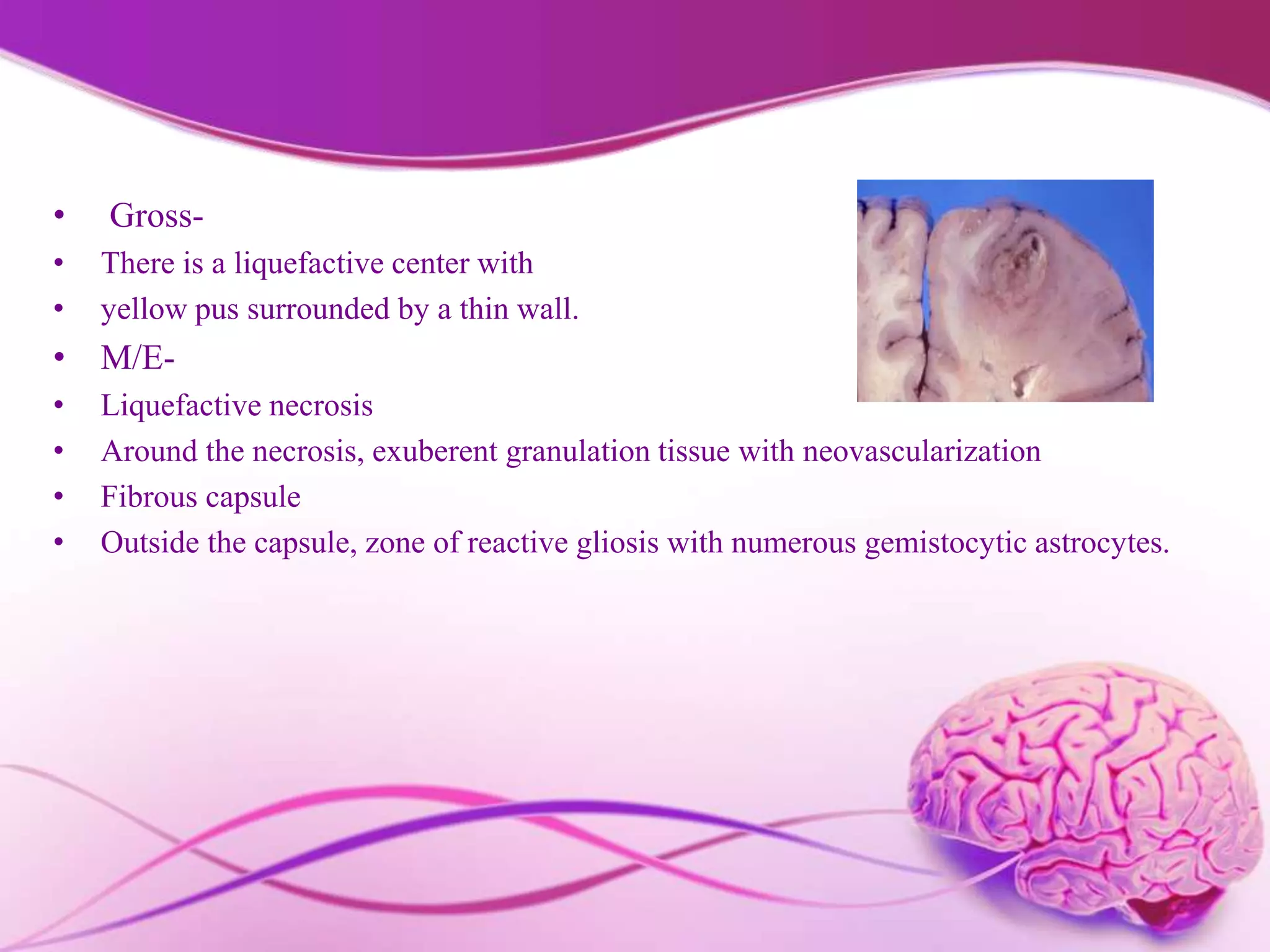 Pathology of cns | PPTX