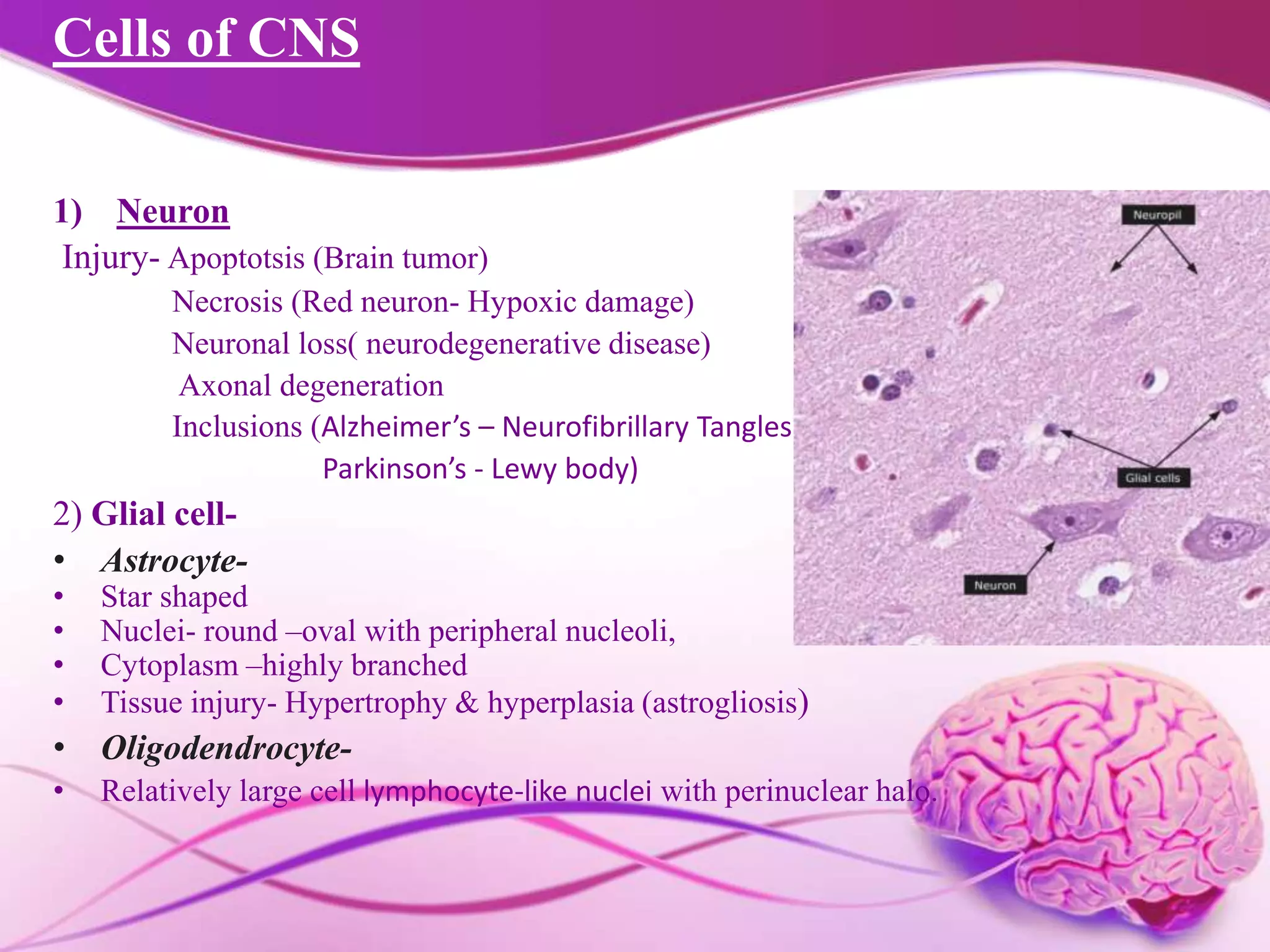 Pathology of cns | PPTX
