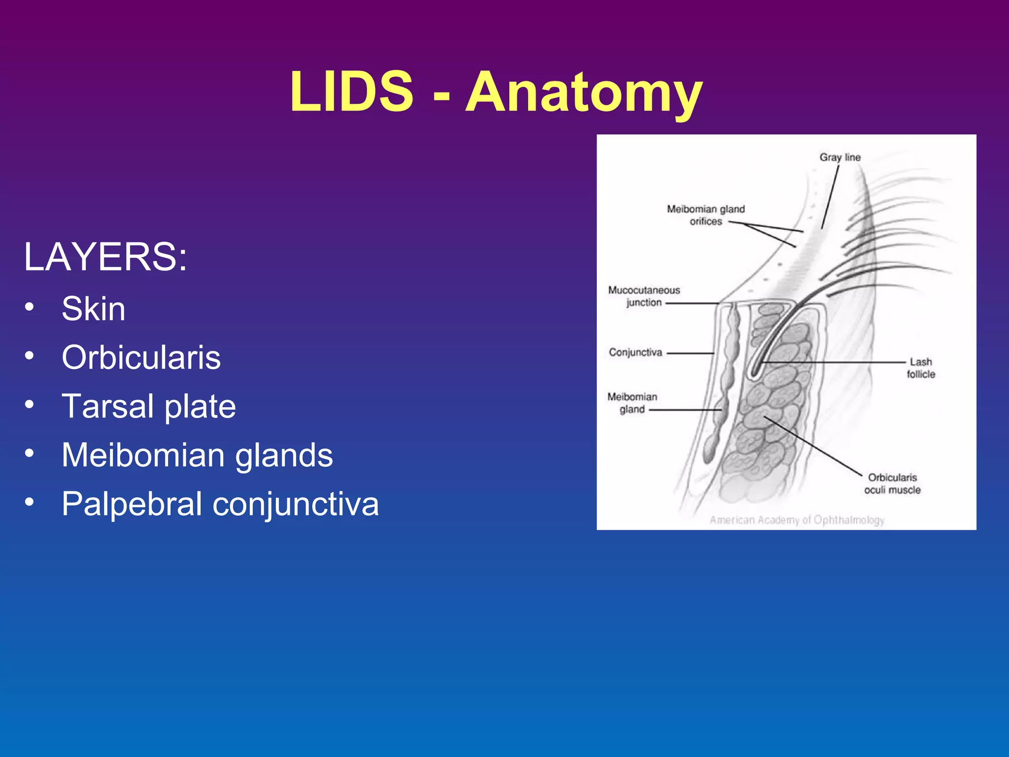 Pathology of eye i-2013-final | PPT