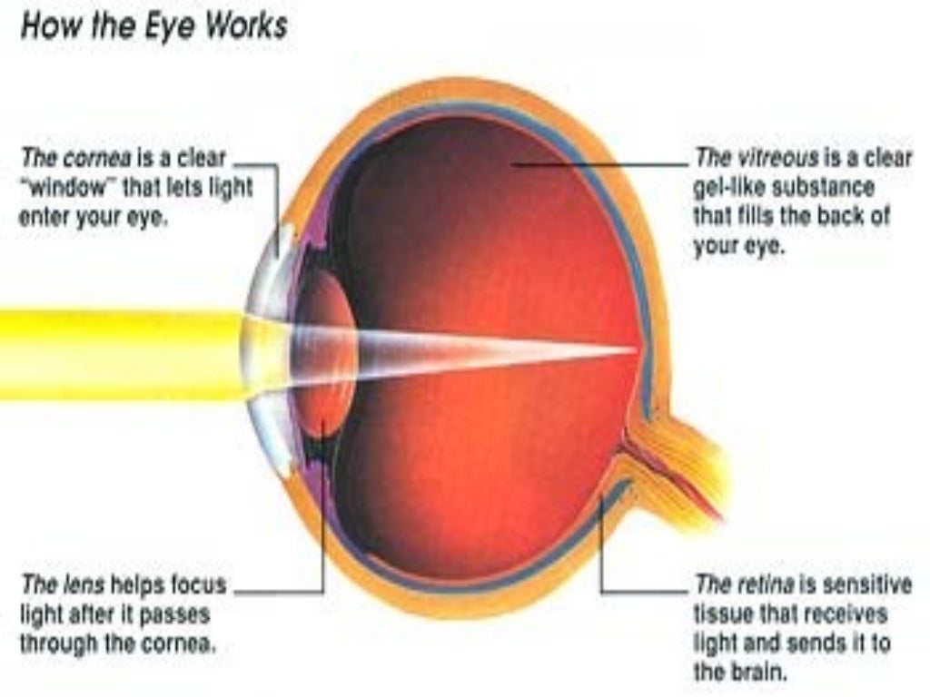 Pathology of eye i-2013-final