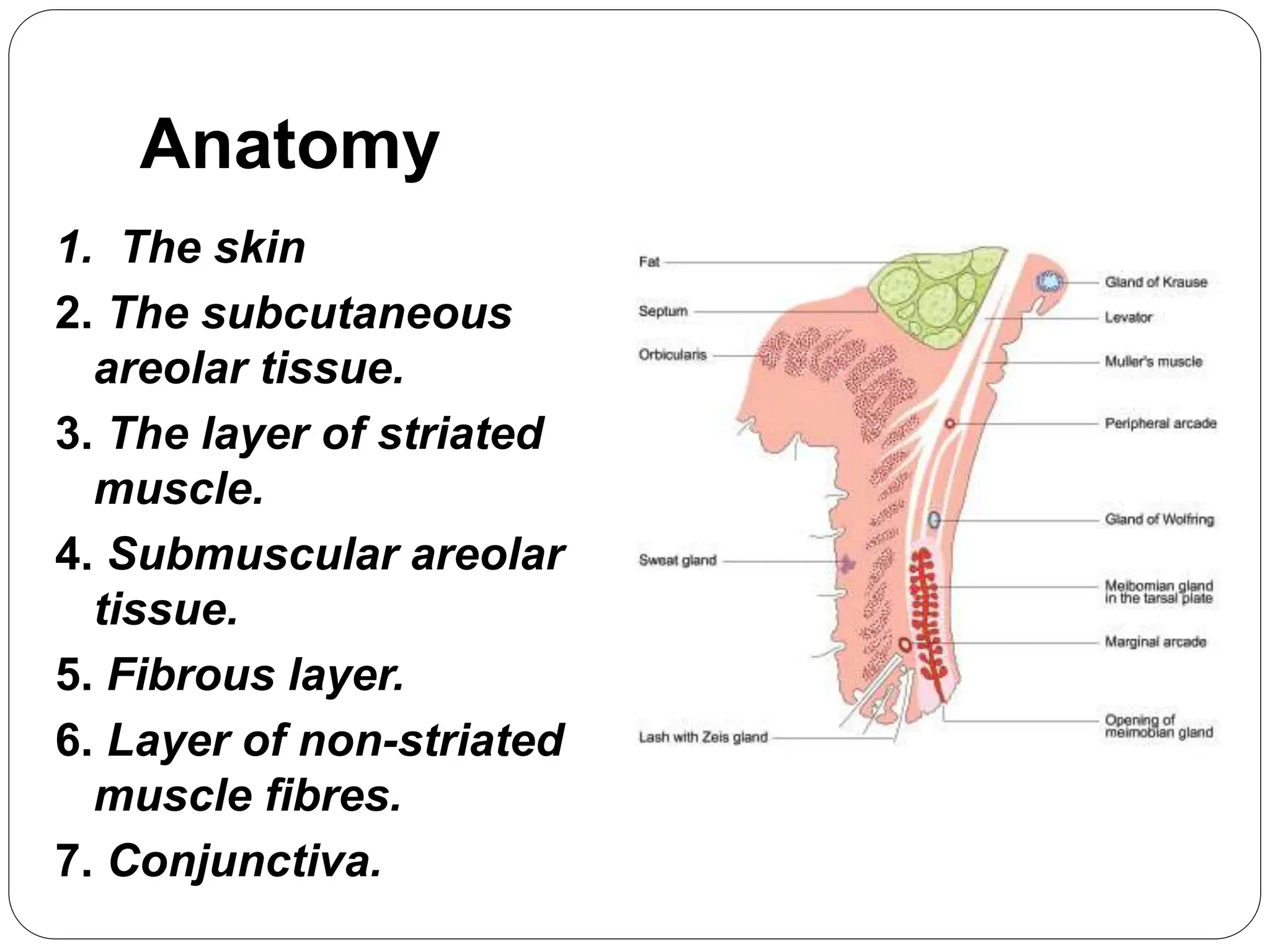 pathology of eyelids.pptx