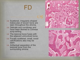 Pathology of fibro osseous lesions | PPTX