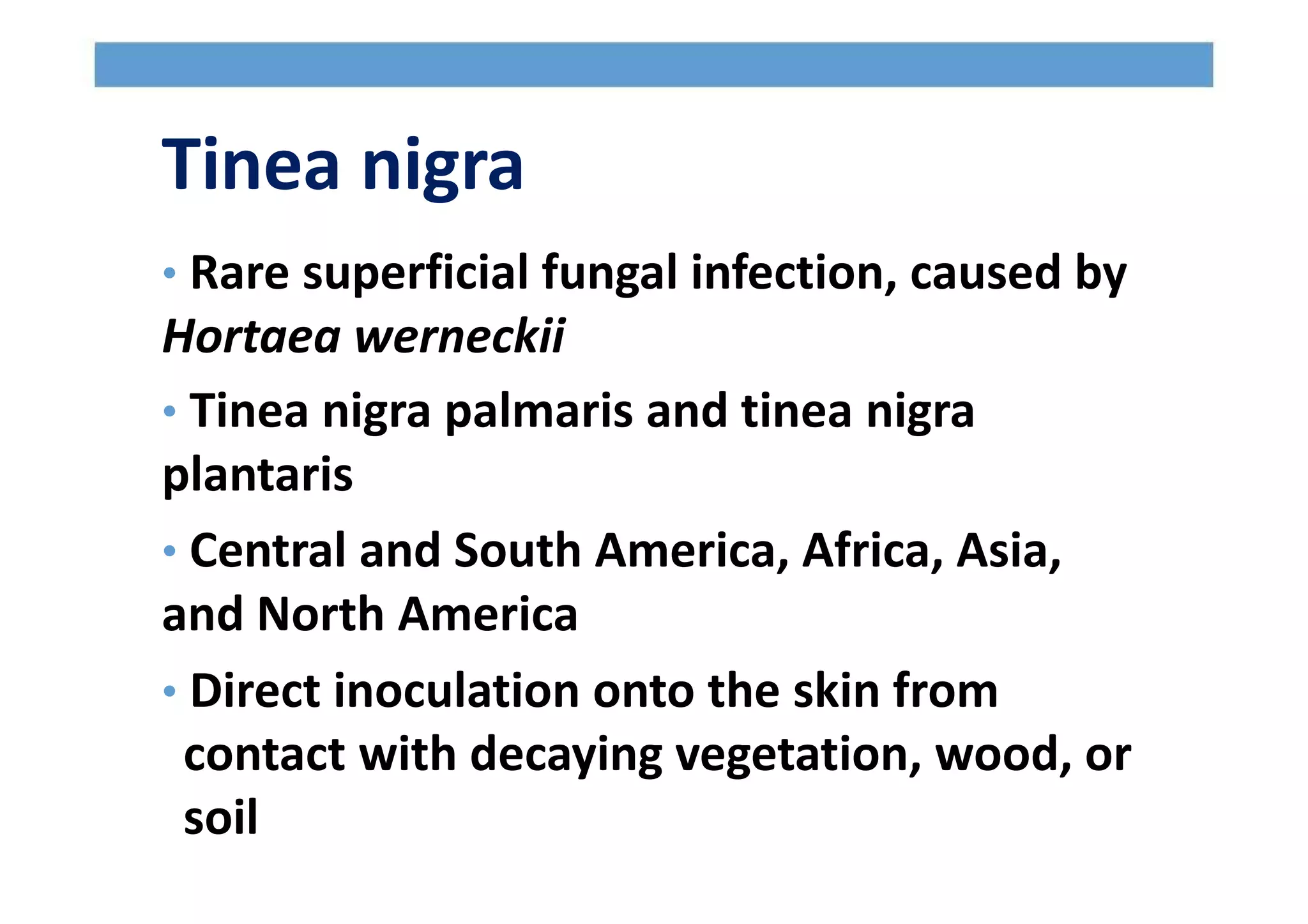 Pathology of fungal infection | PPTX