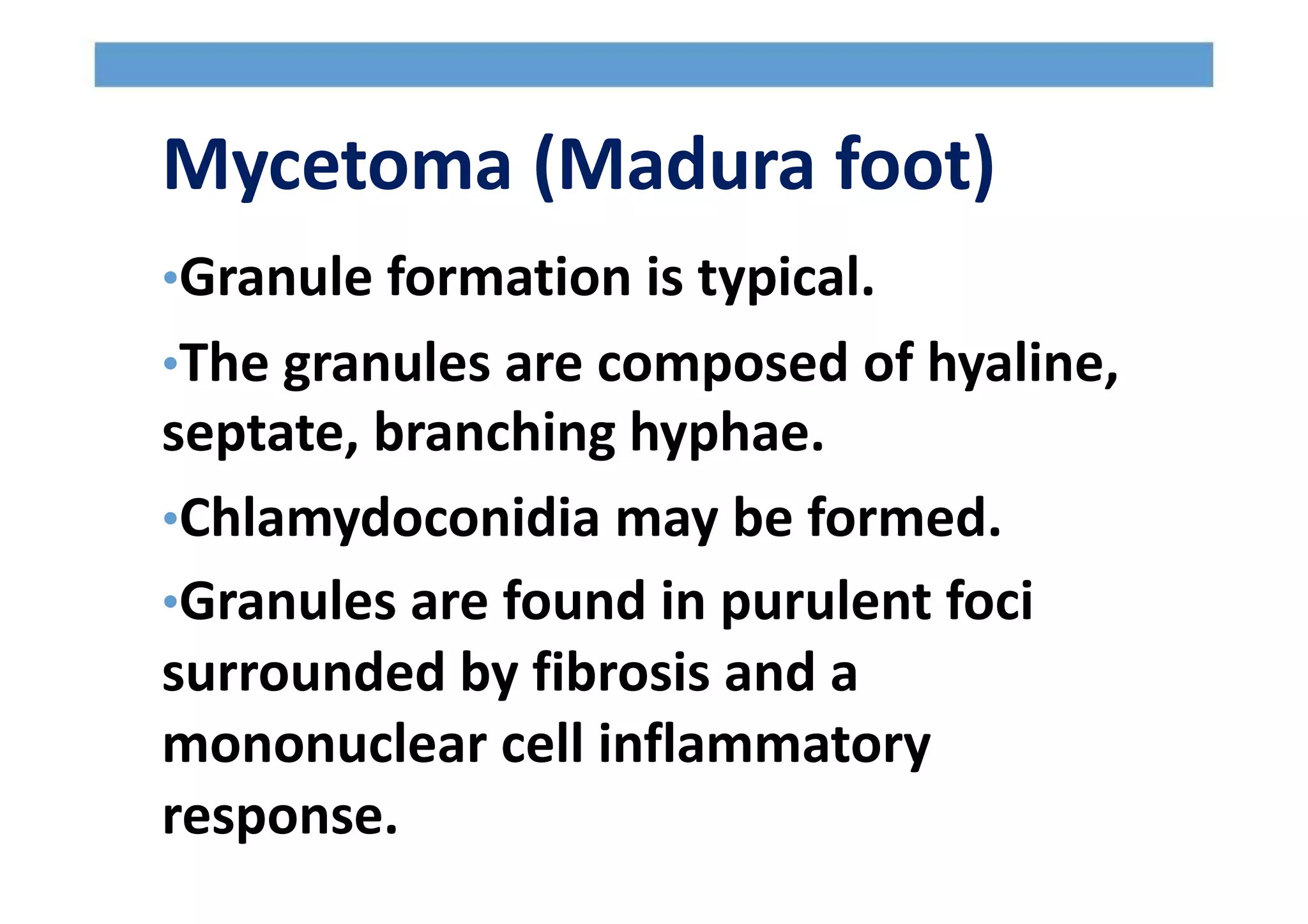 Pathology of fungal infection | PPTX