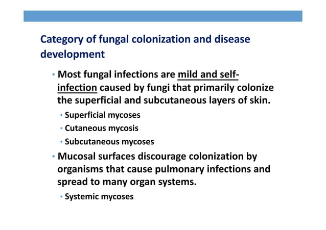 Pathology of fungal infection | PPTX | Skin and Dermatology | Diseases ...