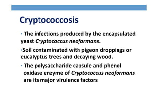 Pathology of fungal infection | PPTX