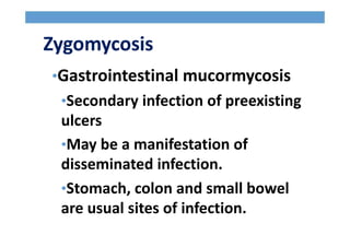 Pathology of fungal infection | PPTX