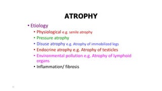 Pathology_of_Growth_cellulardisturbances.pptx