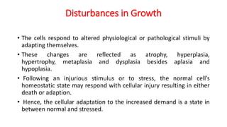 Pathology_of_Growth_cellulardisturbances.pptx
