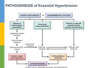 PATHOLOGY OF HYPERTENSION .ppt