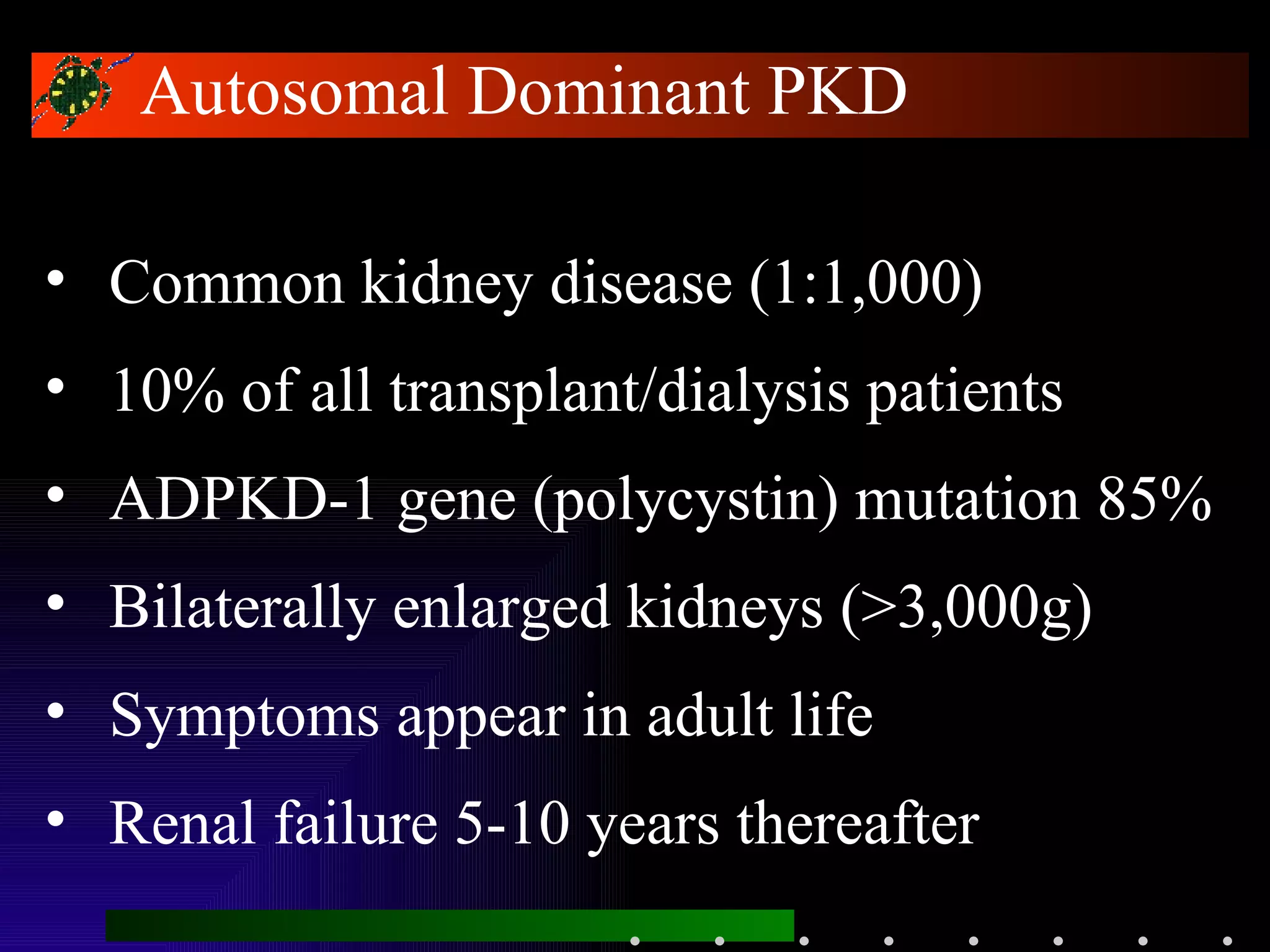 Pathology Of Kidney | PPT