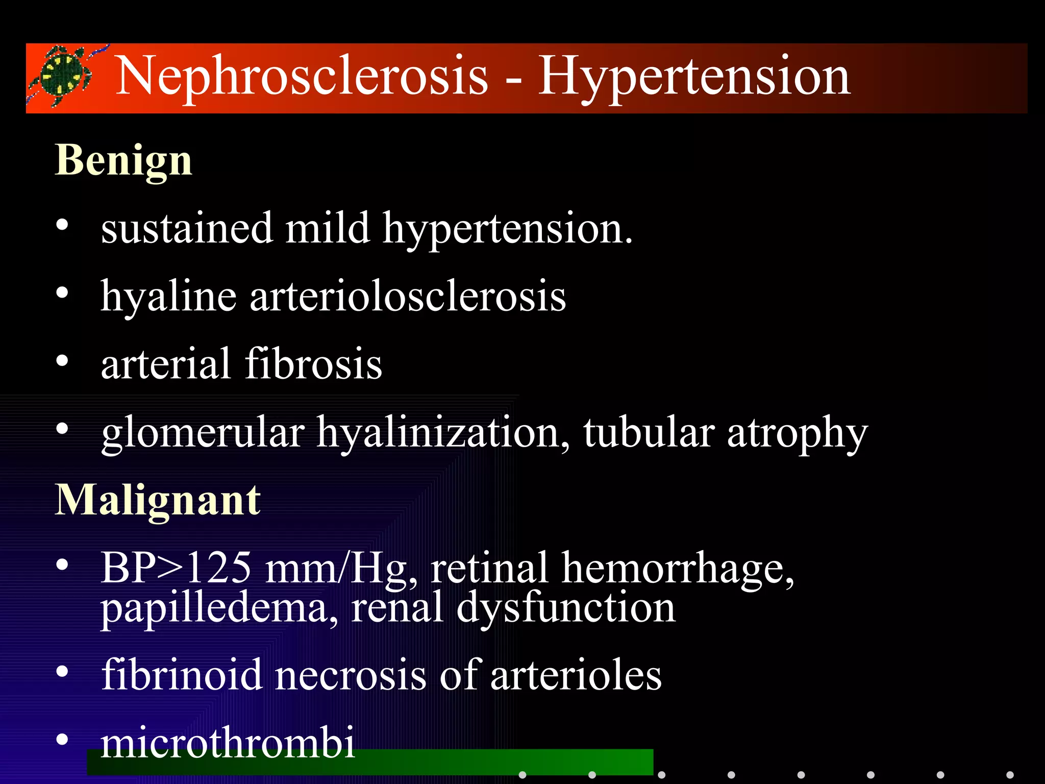 Pathology Of Kidney | PPT