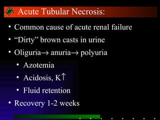 Pathology Of Kidney | PPT