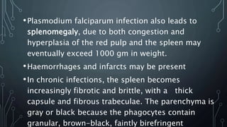 PATHOLOGY OF MALARIA AND MORPHOLOGIC CHANGES IN ORGANS | PPTX