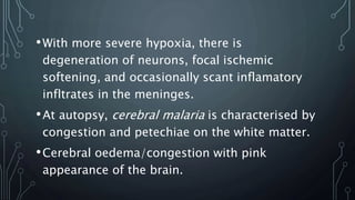 PATHOLOGY OF MALARIA AND MORPHOLOGIC CHANGES IN ORGANS | PPTX