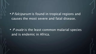 PATHOLOGY OF MALARIA AND MORPHOLOGIC CHANGES IN ORGANS | PPTX