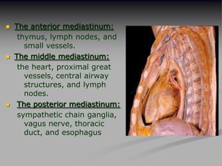 Pathology of mediastinal masses | PDF