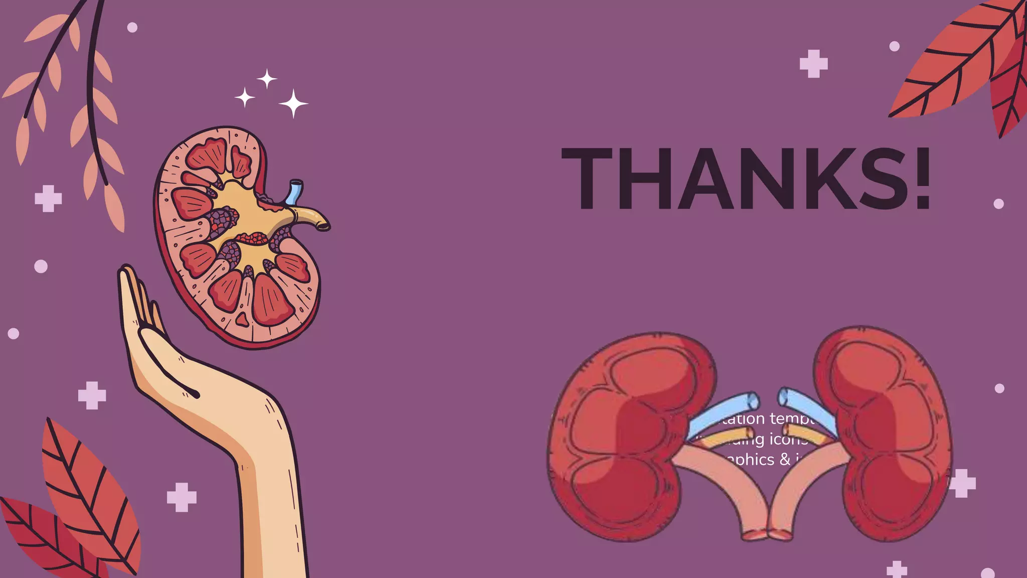 pathology of nephritis ppt.pptx