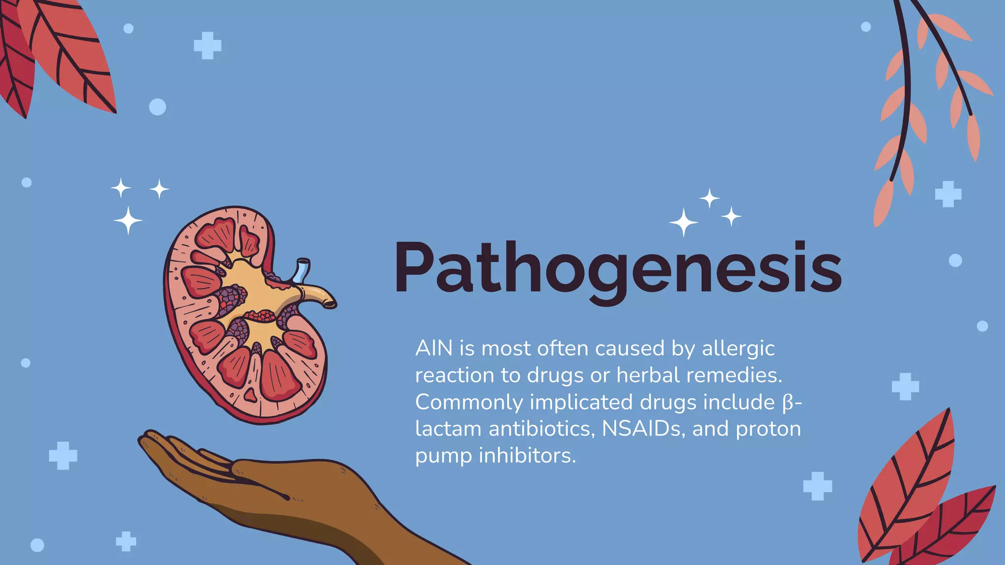 pathology of nephritis ppt.pptx