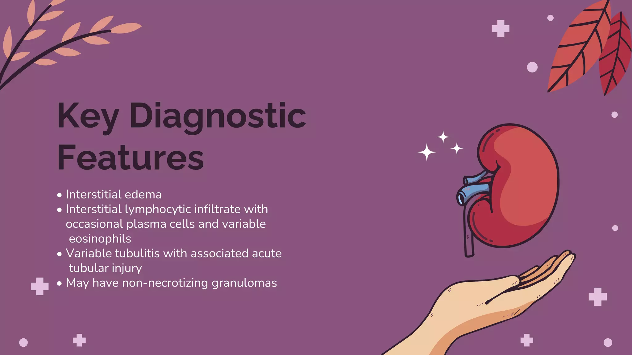pathology of nephritis ppt.pptx
