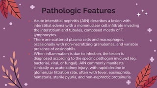 pathology of nephritis ppt.pptx
