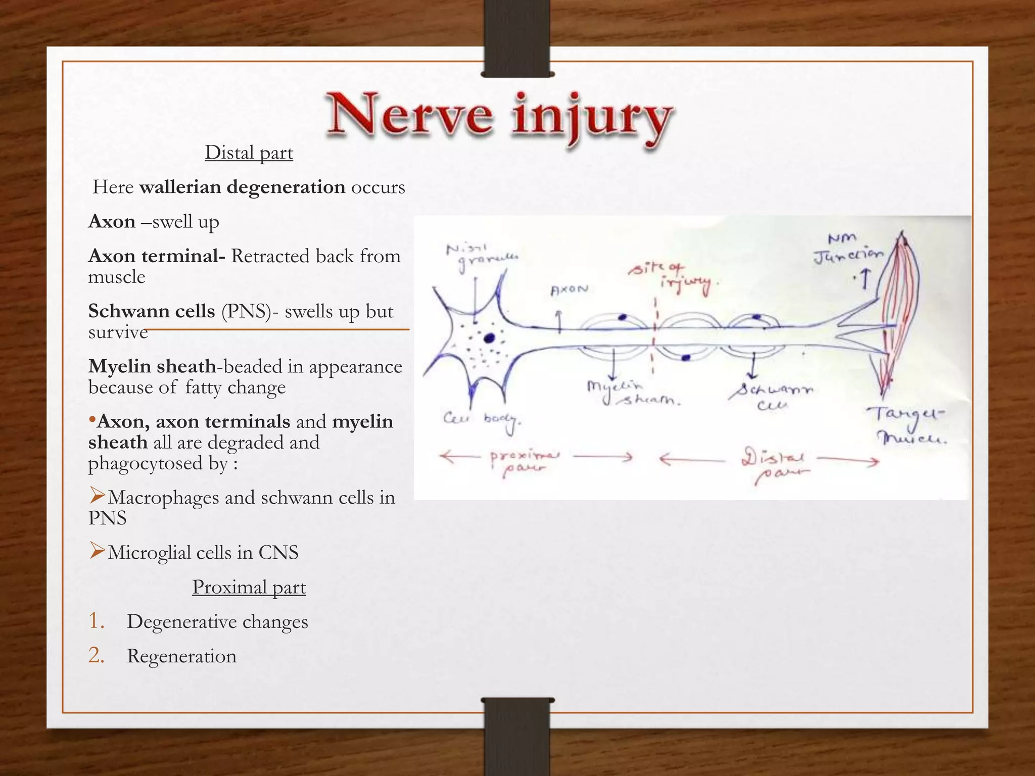 Pathology of nervous system | PPTX