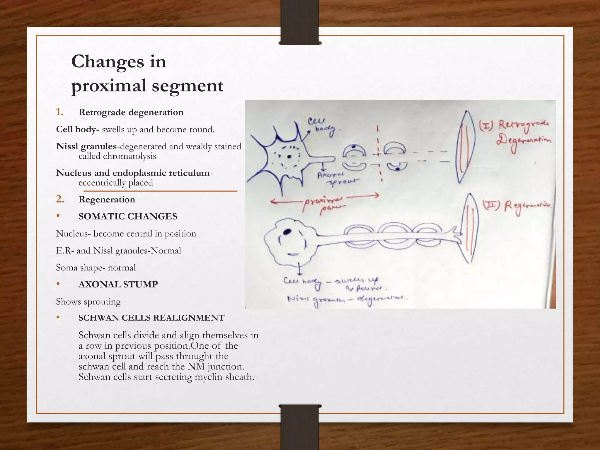Pathology of nervous system | PPTX