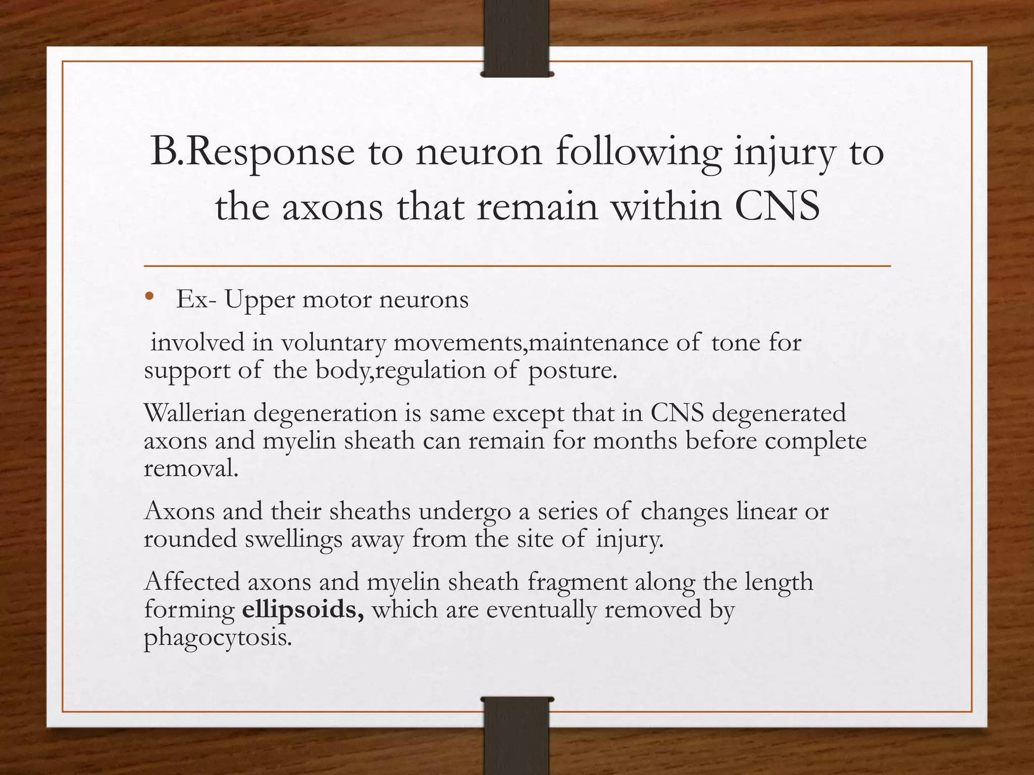 Pathology of nervous system | PPTX