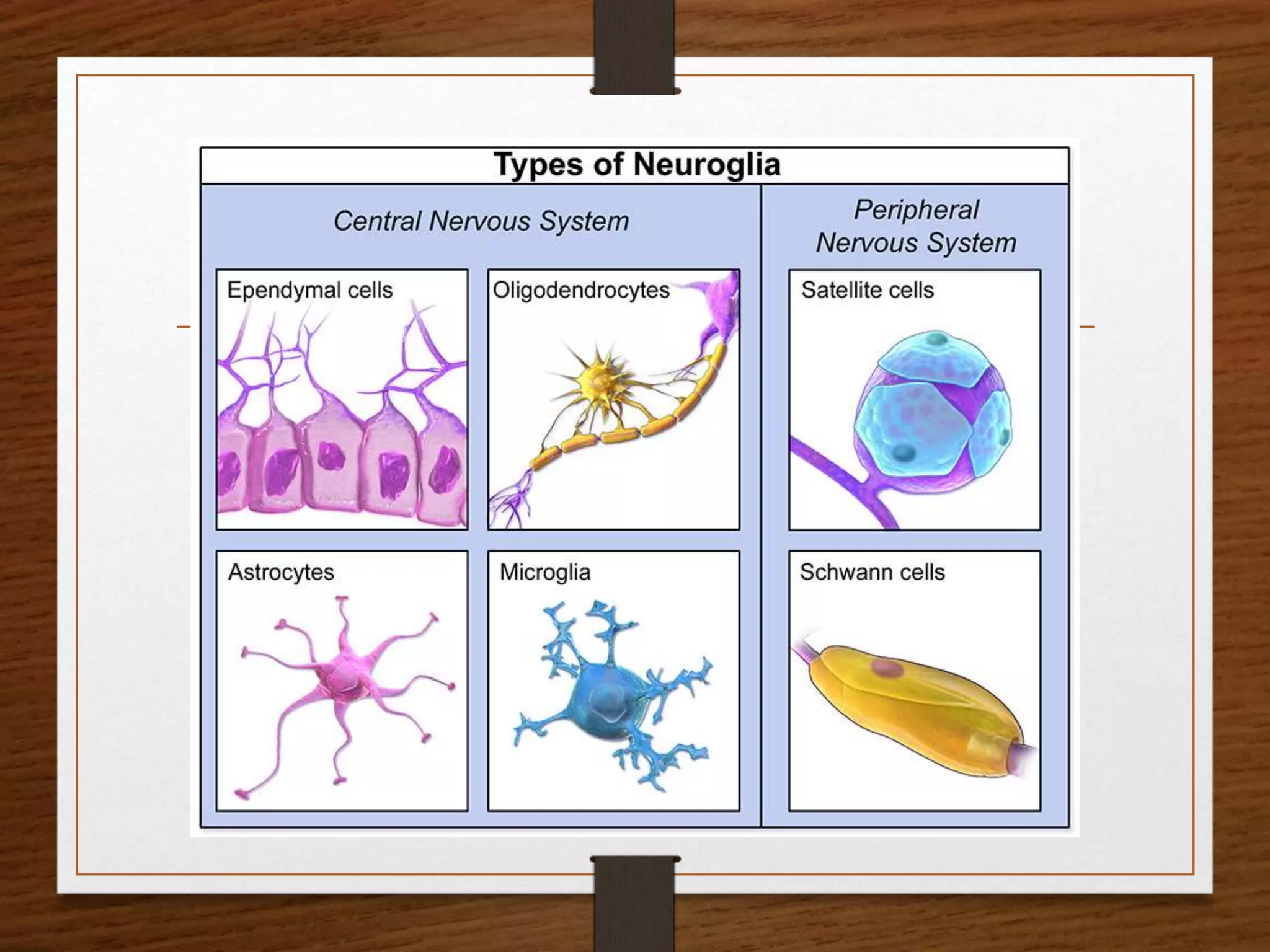Pathology of nervous system | PPTX