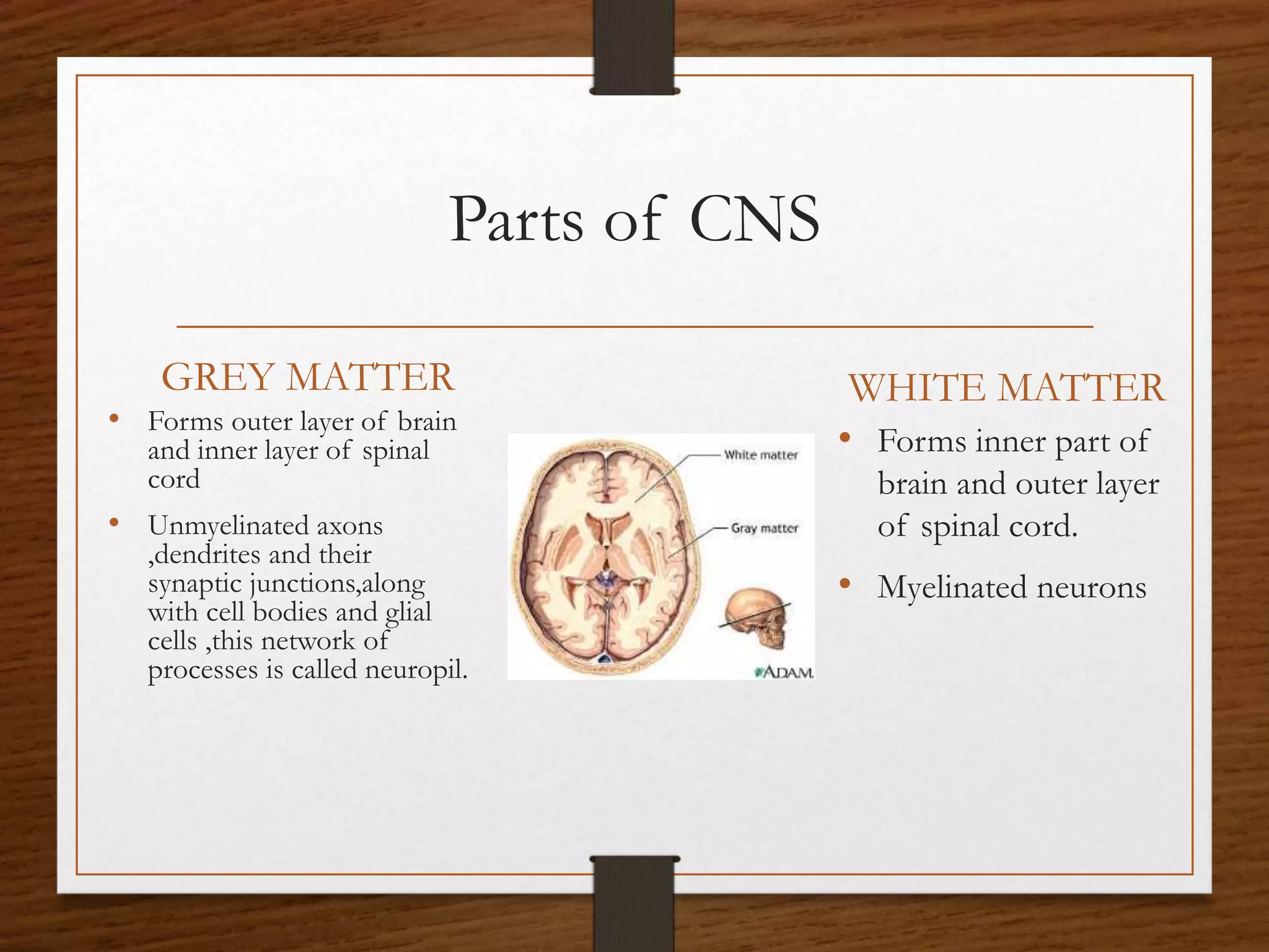 Pathology of nervous system | PPTX