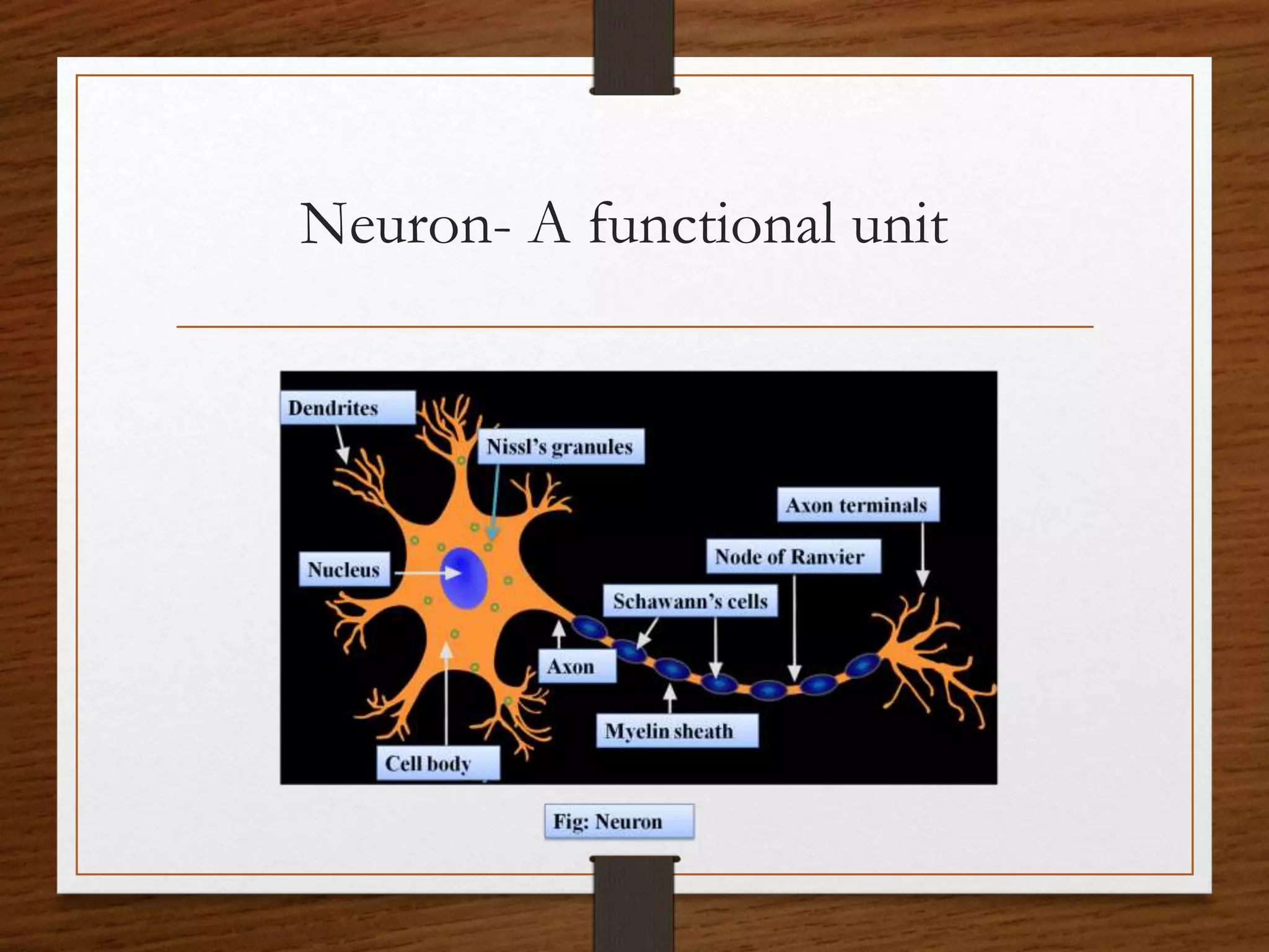 Pathology of nervous system | PPTX