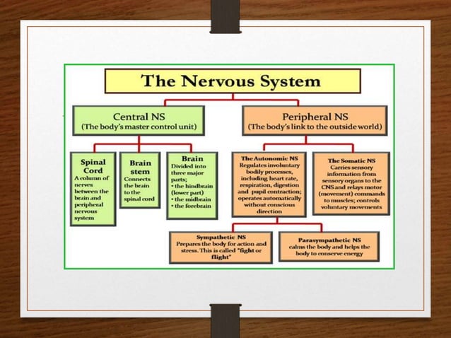 Pathology of nervous system | PPTX