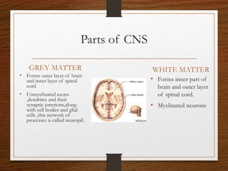 Pathology of nervous system | PPTX