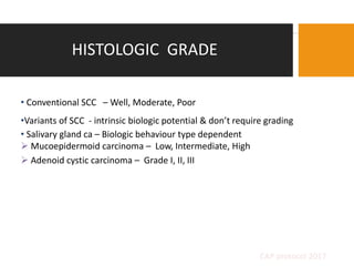 Pathology of oral cancer | PPTX
