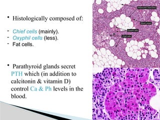 pathology of parathyroid.pptxcase presentation | PPT