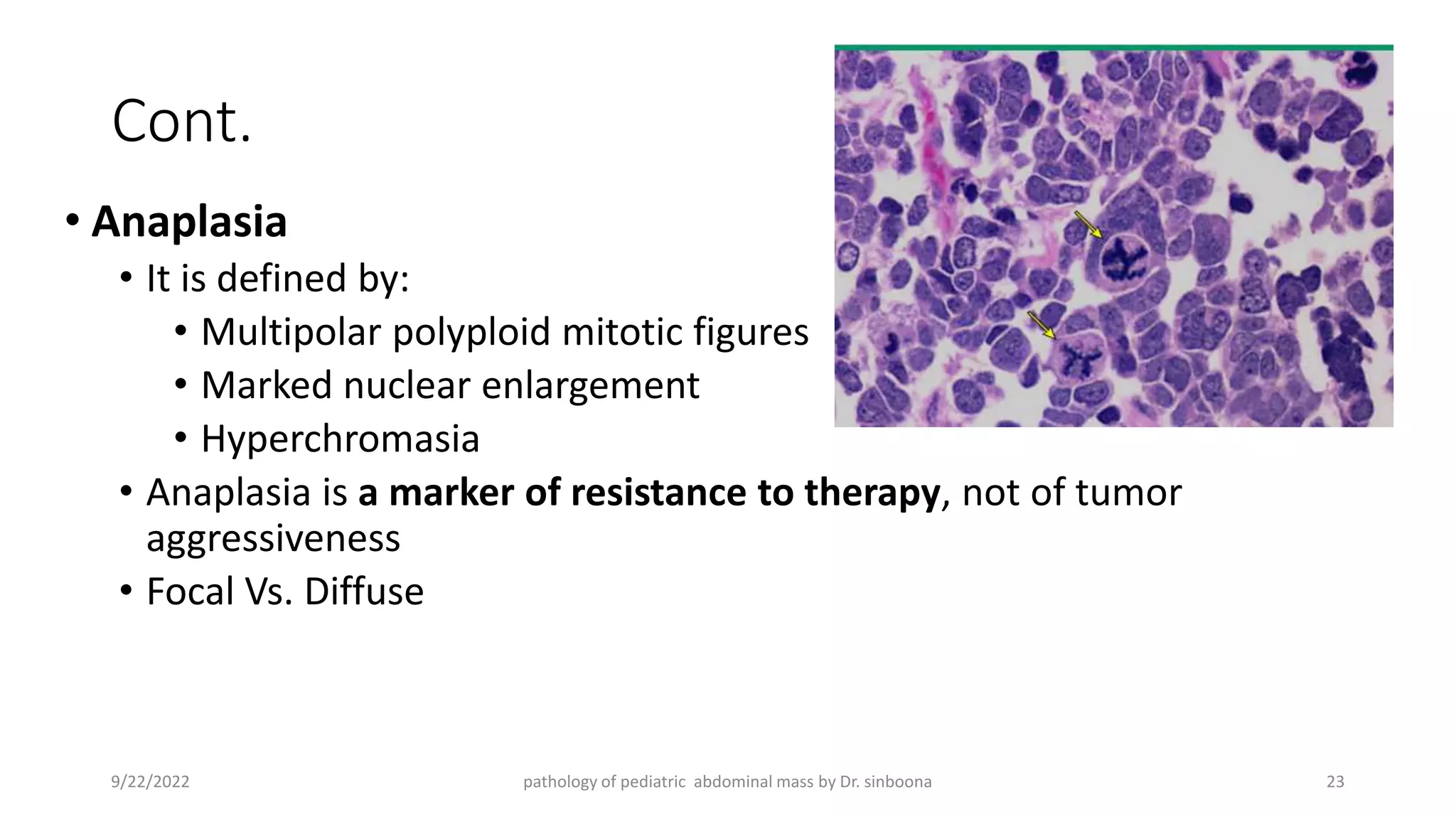 Pathology of Pediatric Abdominal Tumors by Dr sinboona.pptx