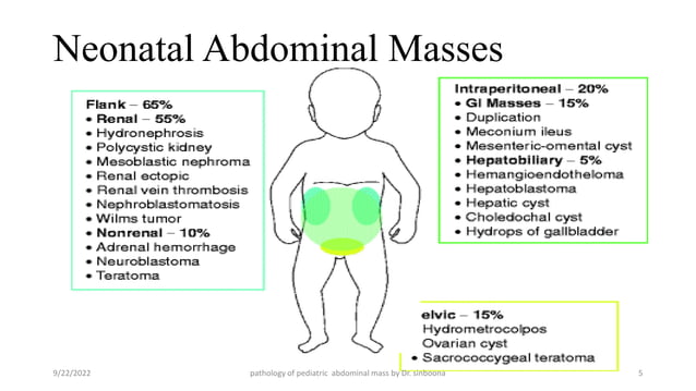 Pathology of Pediatric Abdominal Tumors by Dr sinboona.pptx