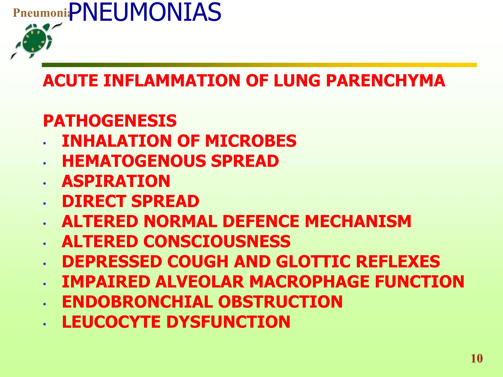 Pathology of Pneumonia POWERPOINT PRESENTATION | PPT