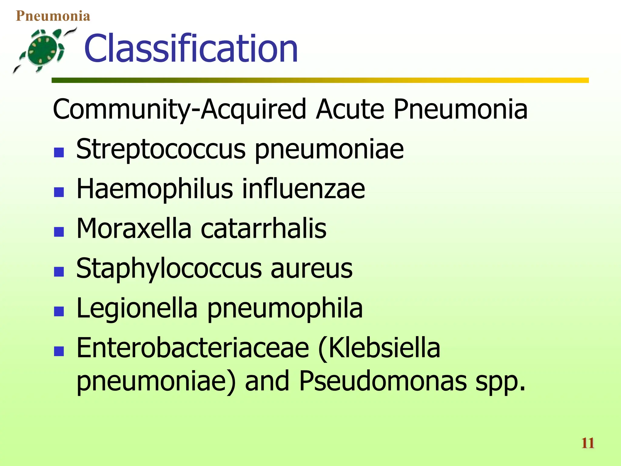 Pathology of Pneumonia POWERPOINT PRESENTATION | PPT