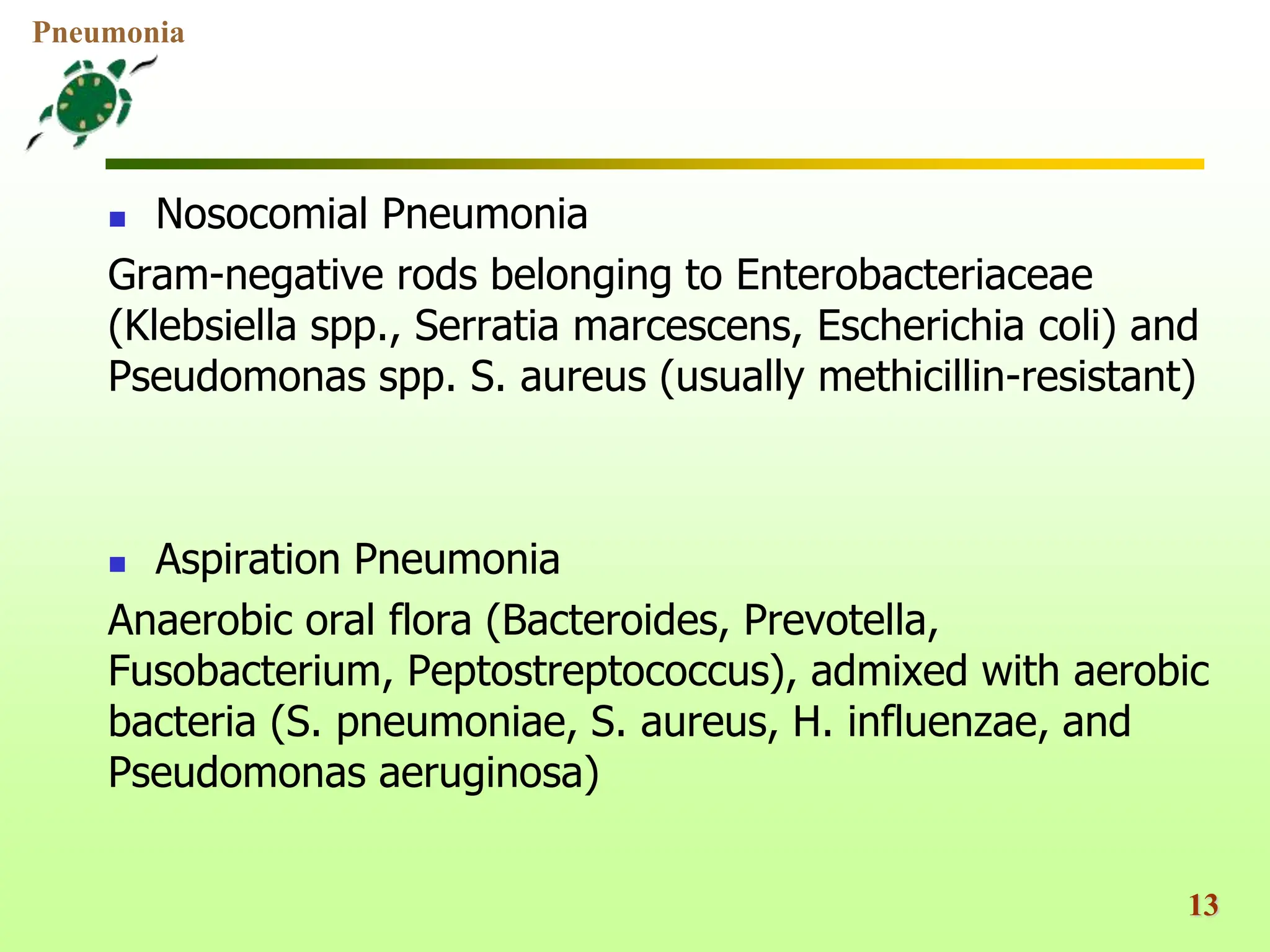 Pathology of Pneumonia POWERPOINT PRESENTATION | PPT