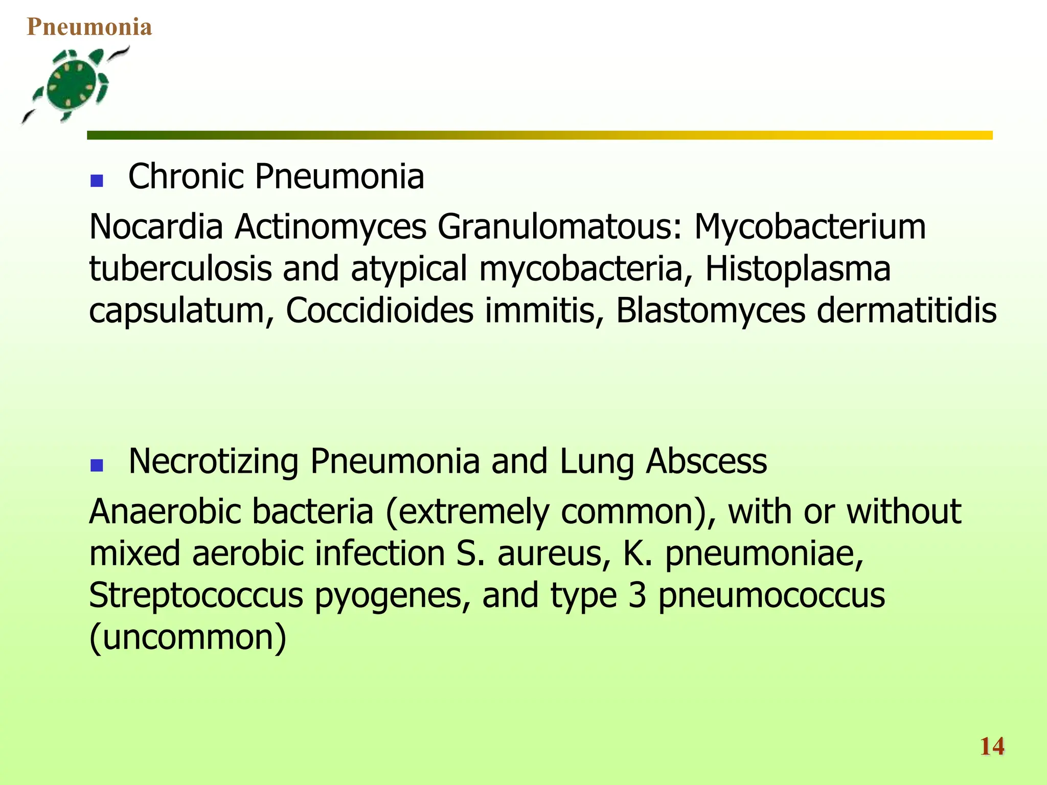 Pathology of Pneumonia POWERPOINT PRESENTATION | PPT