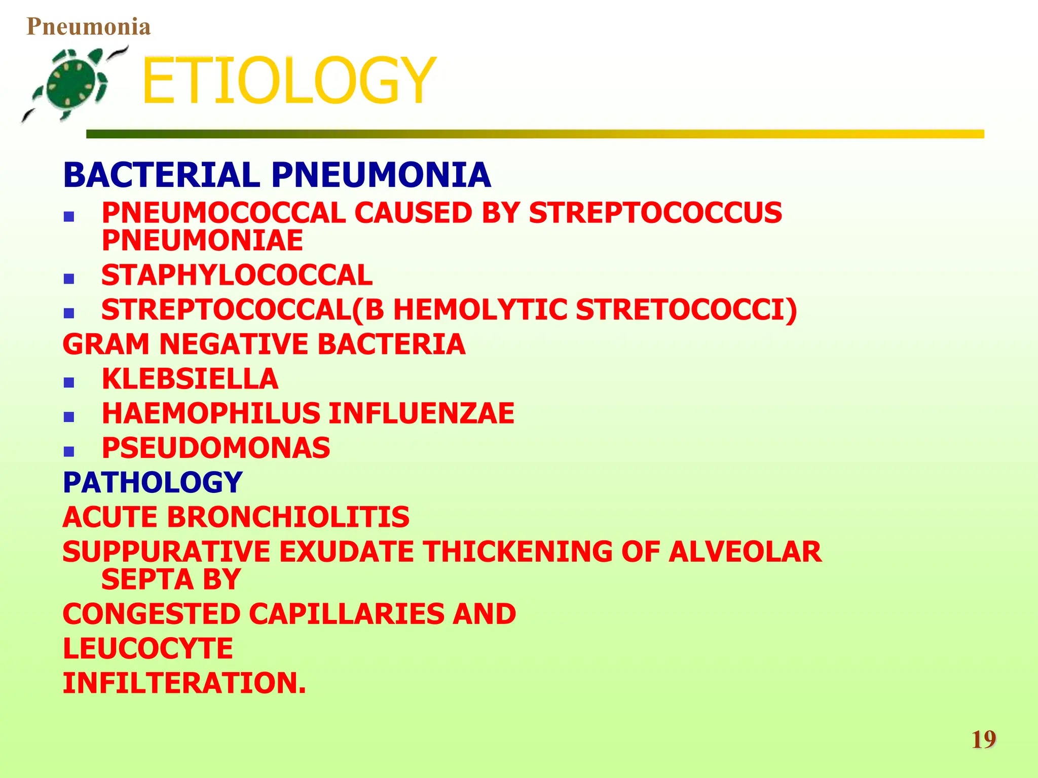 Pathology of Pneumonia POWERPOINT PRESENTATION | PPT