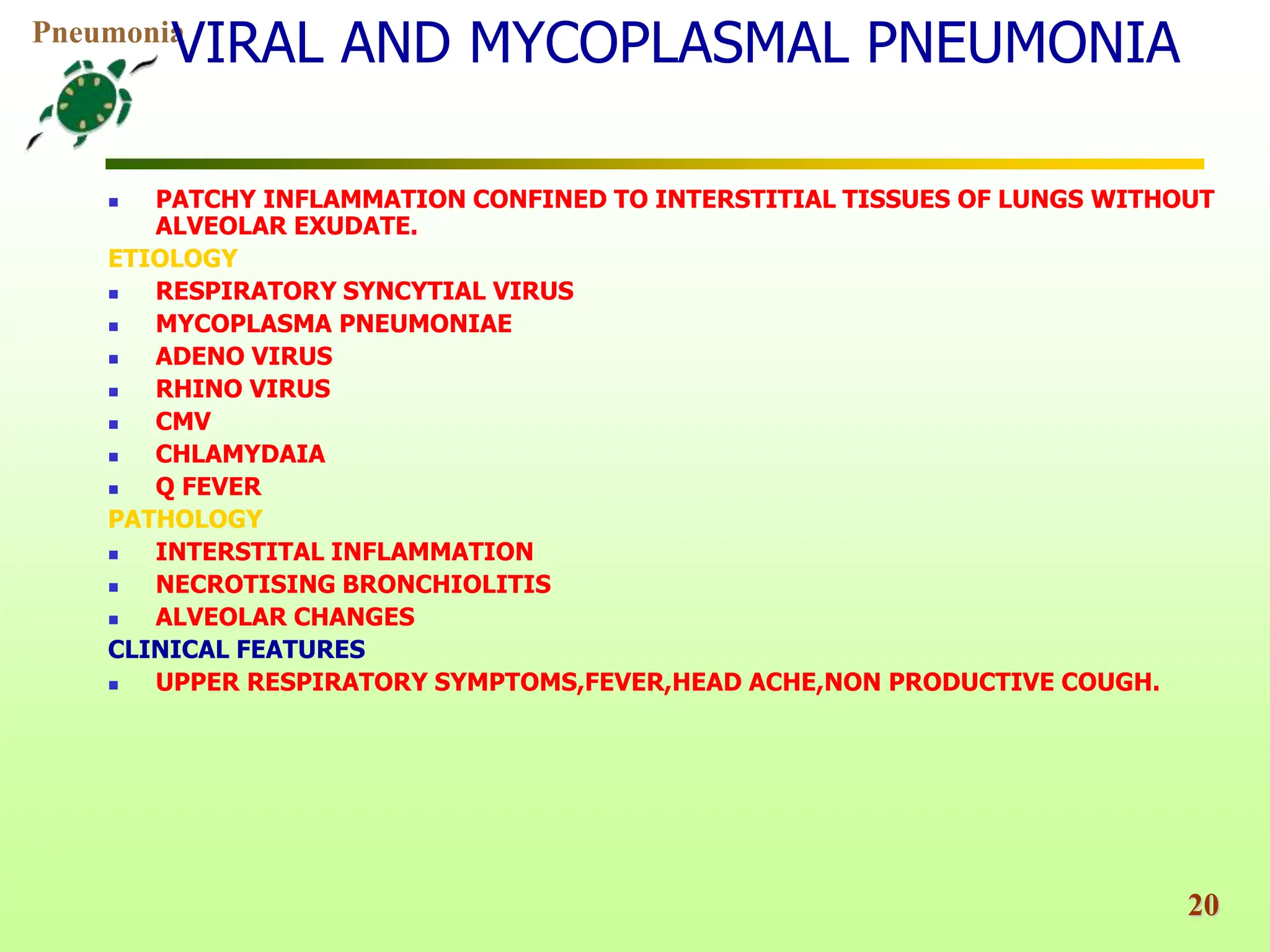 Pathology of Pneumonia POWERPOINT PRESENTATION | PPT