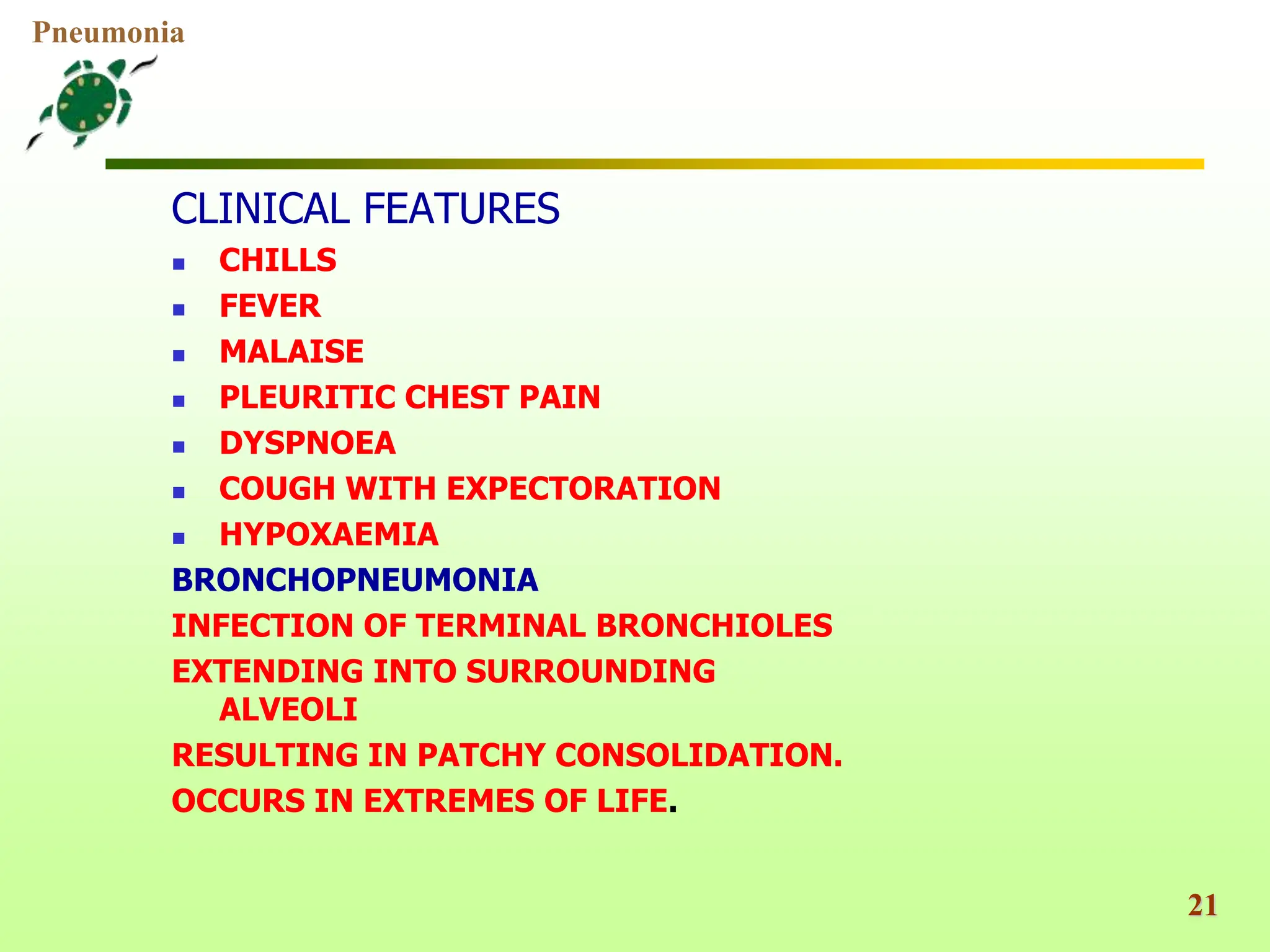 Pathology of Pneumonia POWERPOINT PRESENTATION | PPT
