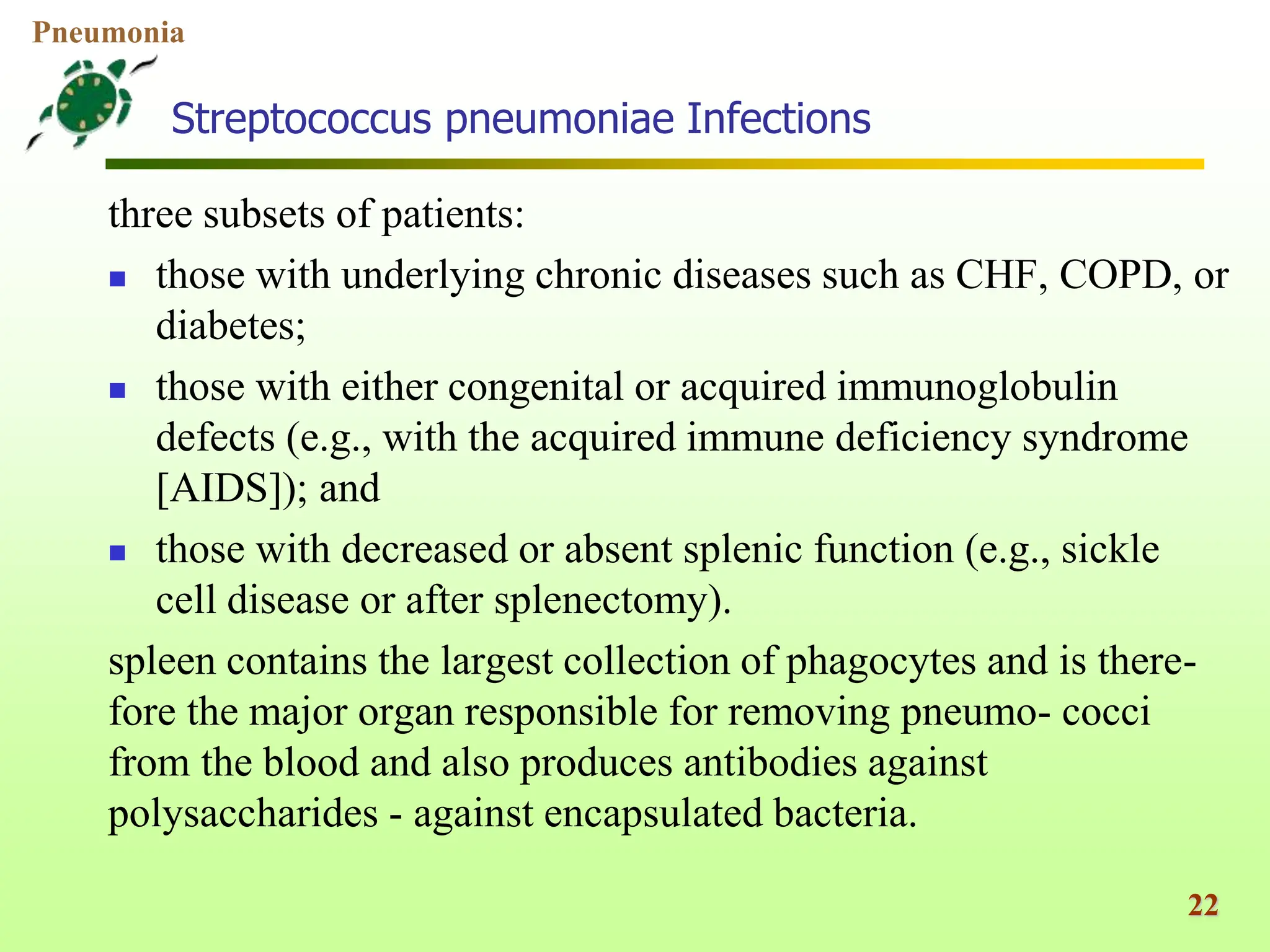 Pathology of Pneumonia POWERPOINT PRESENTATION | PPT