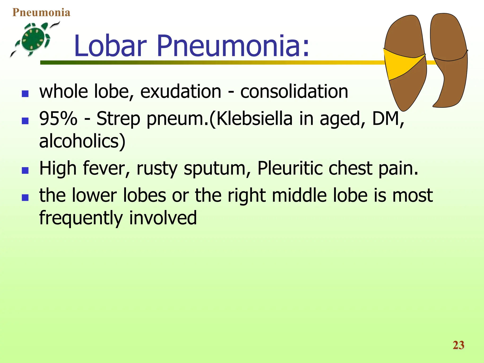Pathology of Pneumonia POWERPOINT PRESENTATION | PPT