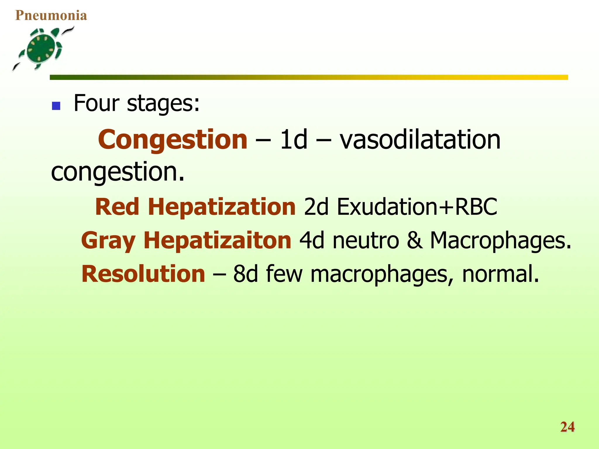 Pathology of Pneumonia POWERPOINT PRESENTATION | PPT