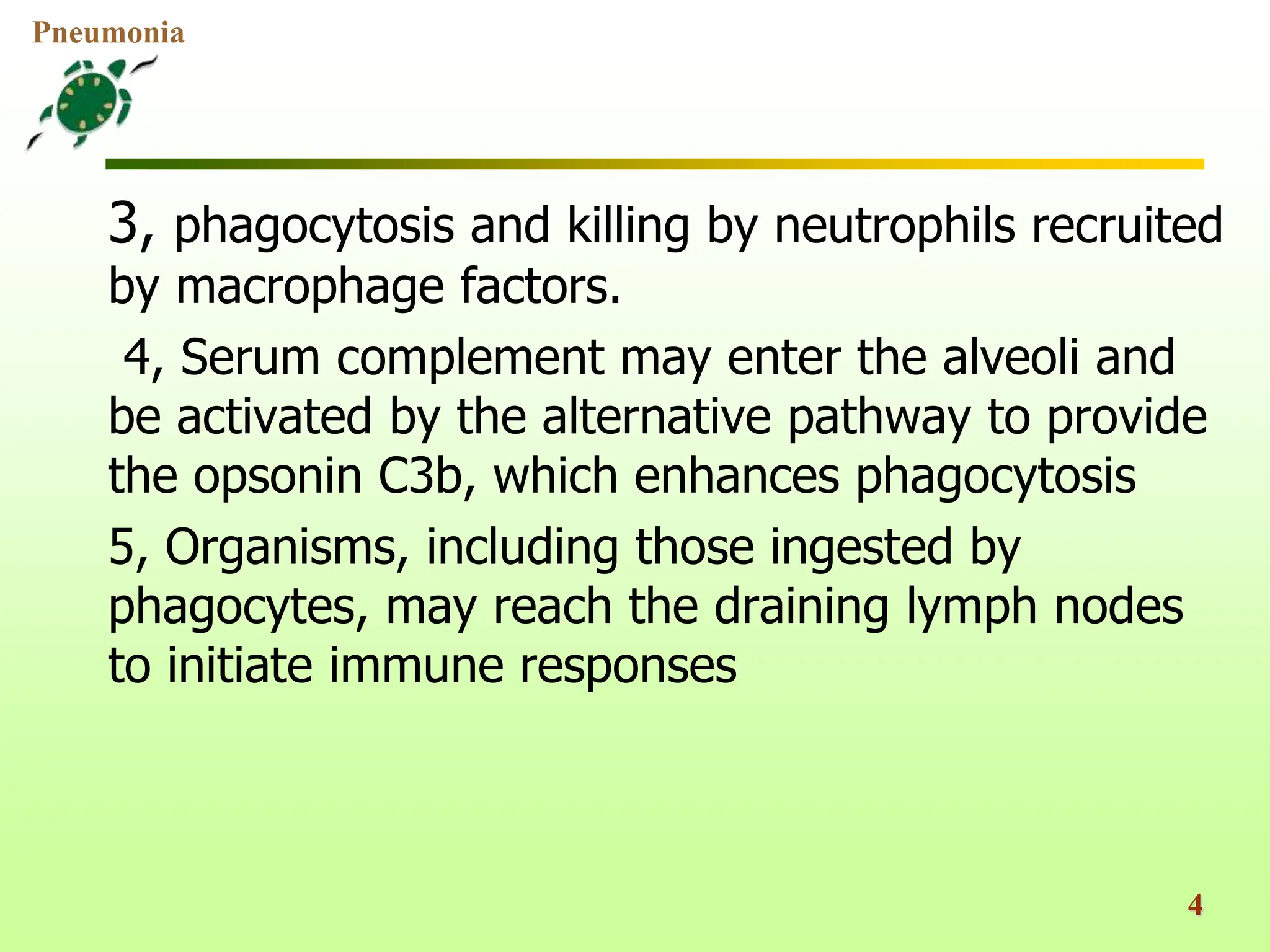 Pathology of Pneumonia POWERPOINT PRESENTATION | PPT